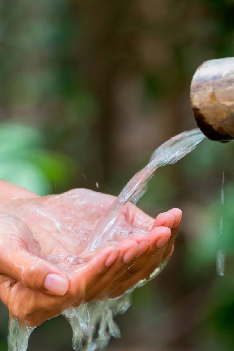Saving water: A sustainable habit for our planet