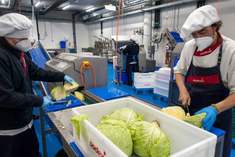 A Fruit and Vegetable Processing Centre to care for the health of our staff