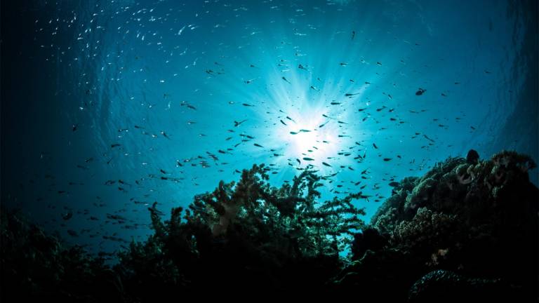 Blue bonds: the value of conserving marine ecosystems