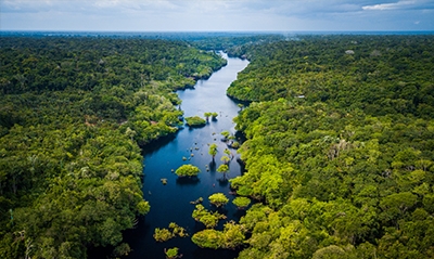 Why are nature and biodiversity important to the economy?